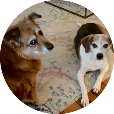 The Plains Agency – We Love Writers