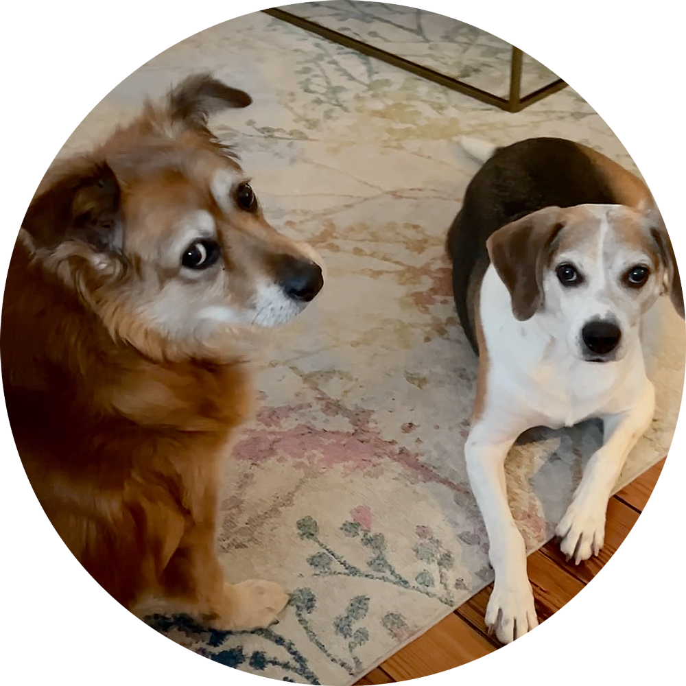 The Plains Agency – We Love Writers